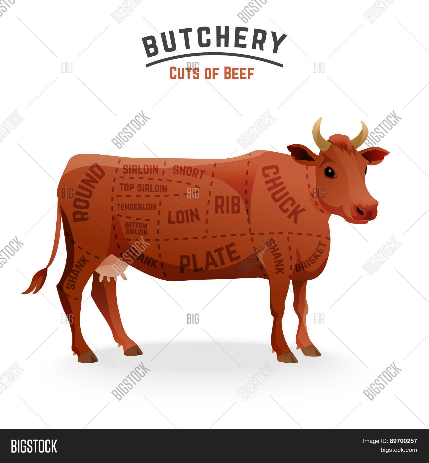Beef Cuts Diagram Vector & Photo (Free Trial) | Bigstock