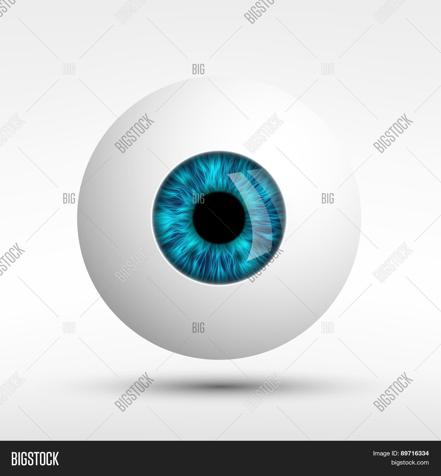 Human Eye Vector & Photo (Free Trial) | Bigstock
