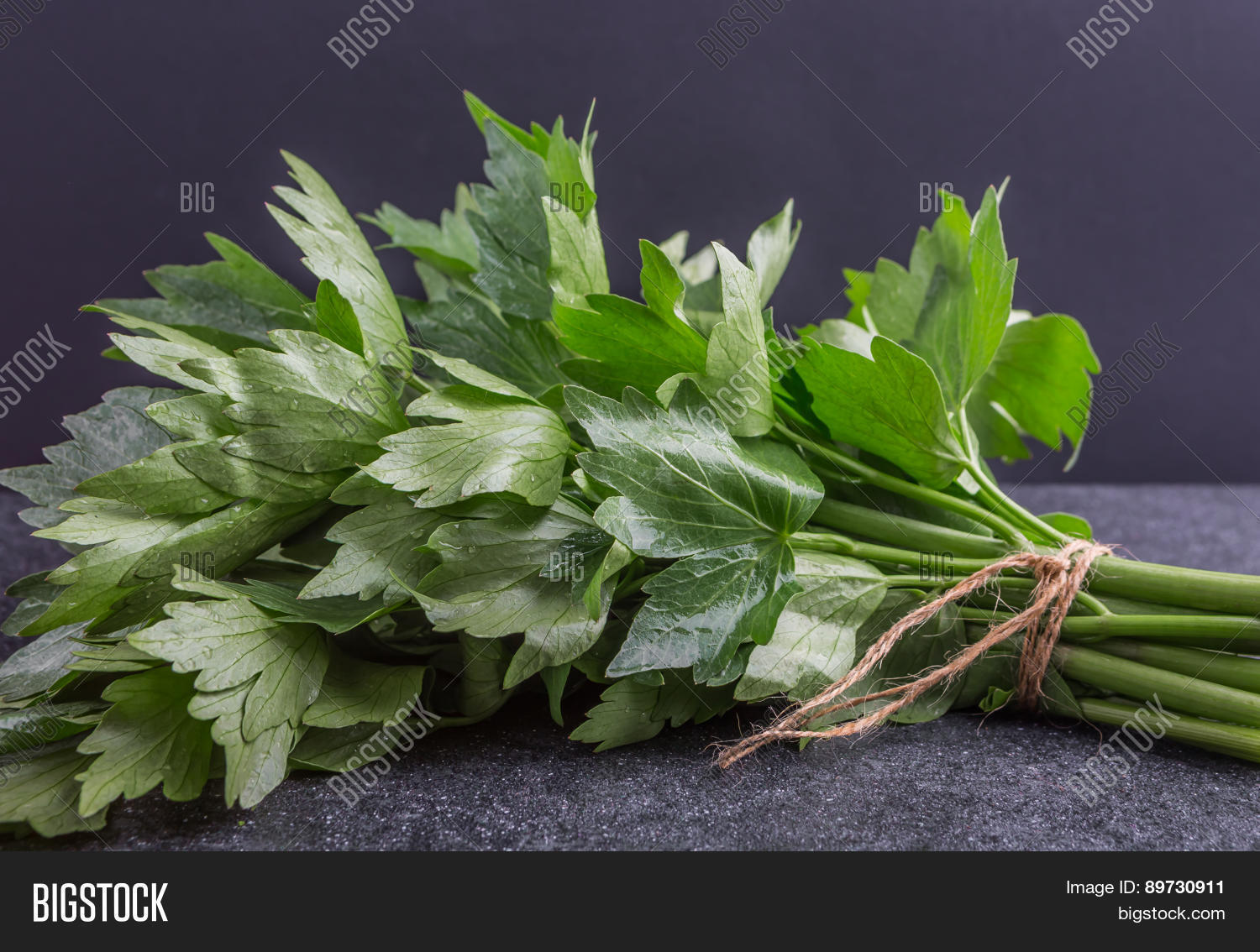 Bunch Fresh Lovage Image & Photo (Free Trial) | Bigstock