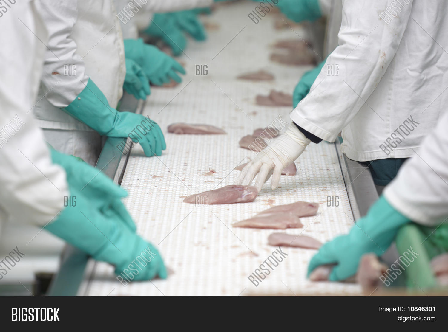 Poultry Processing Image & Photo (Free Trial) | Bigstock