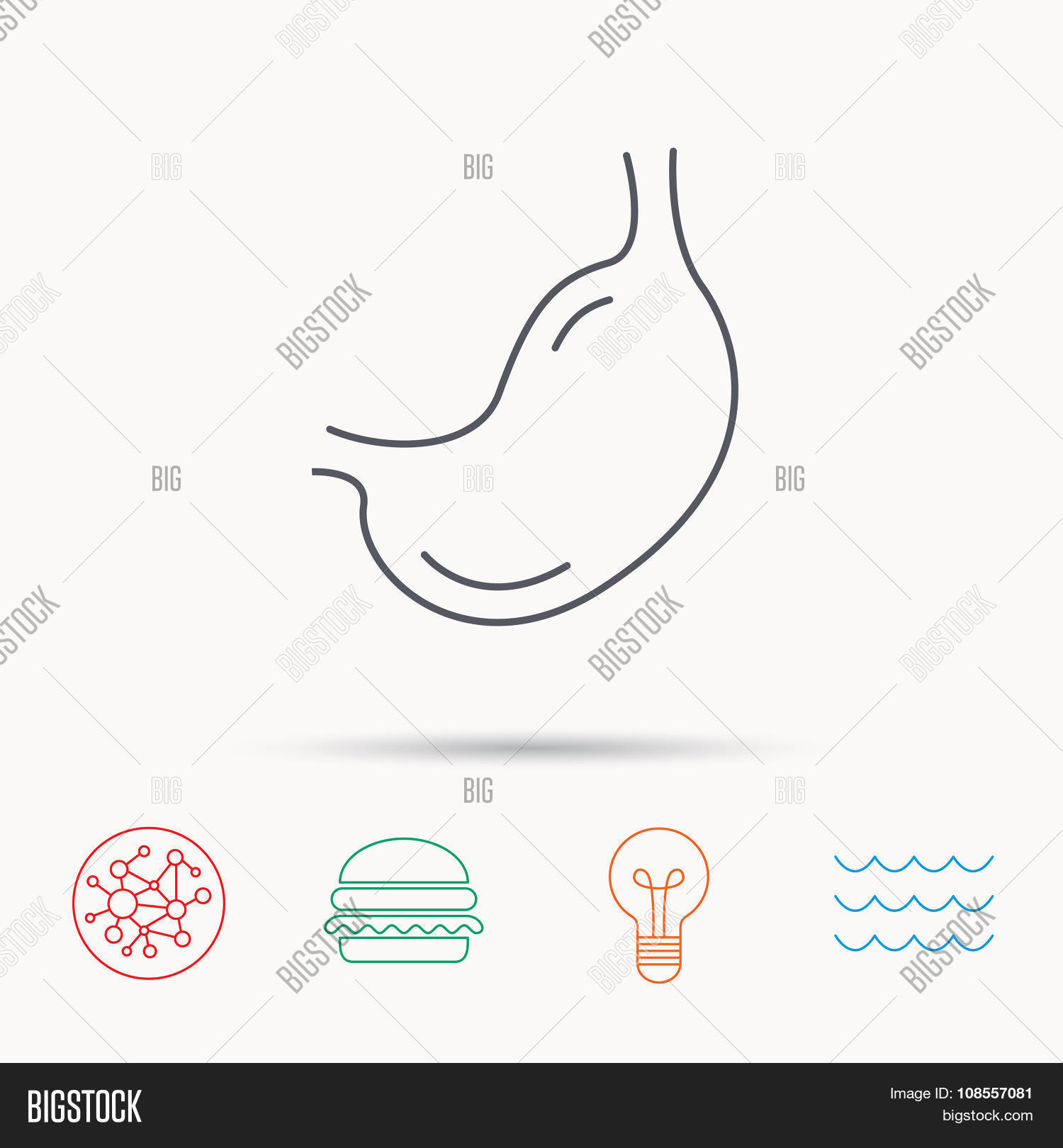 Stomach Icon. Vector & Photo (Free Trial) | Bigstock
