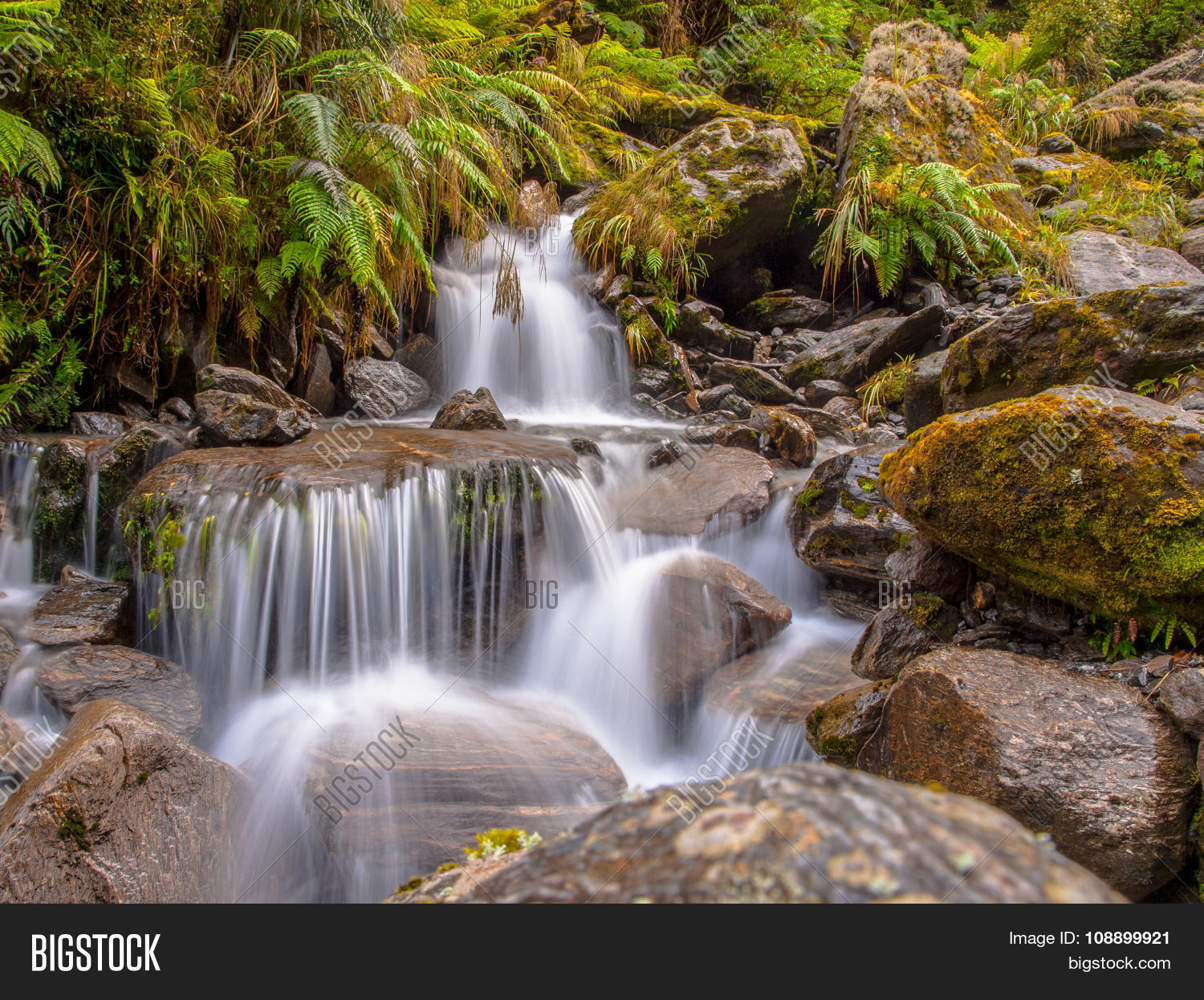 Rainforest Waterfall Image & Photo (Free Trial) | Bigstock