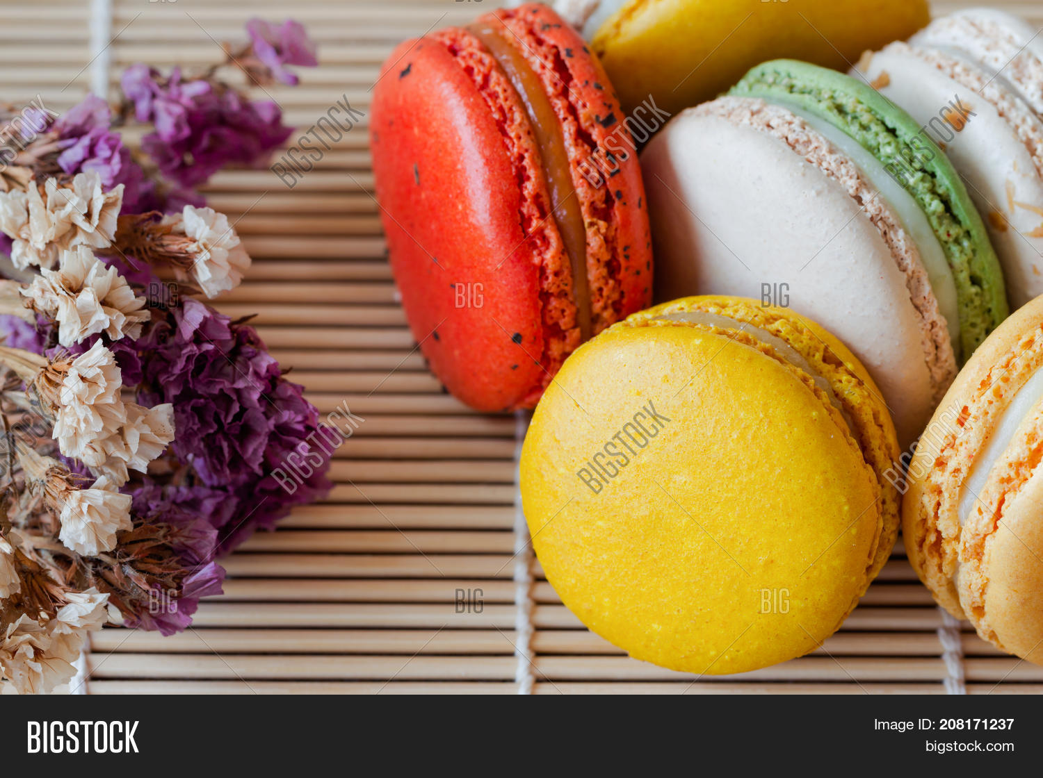 Colorful French Image & Photo (Free Trial) | Bigstock