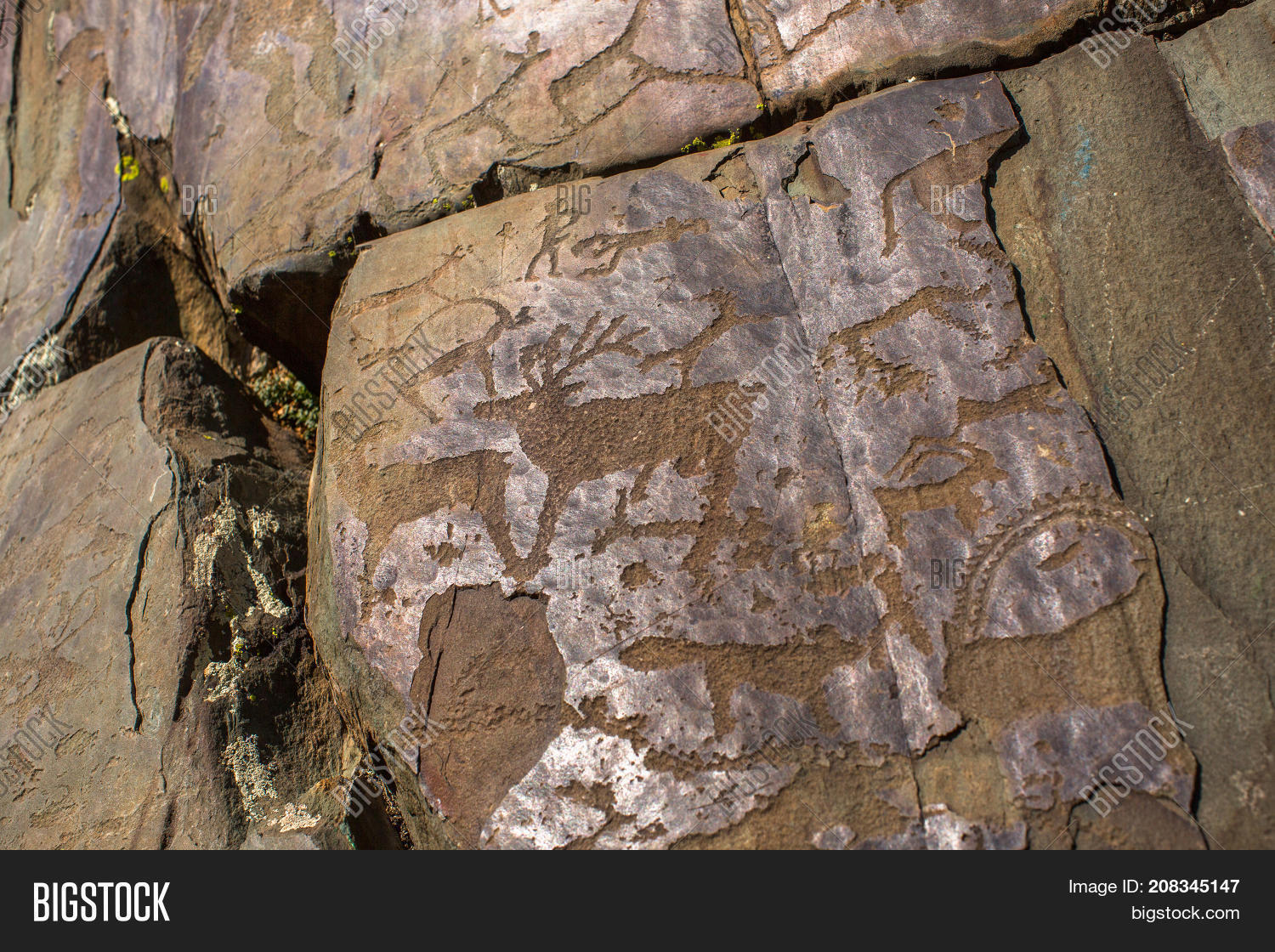 Petroglyphs Altay. Image & Photo (Free Trial) | Bigstock