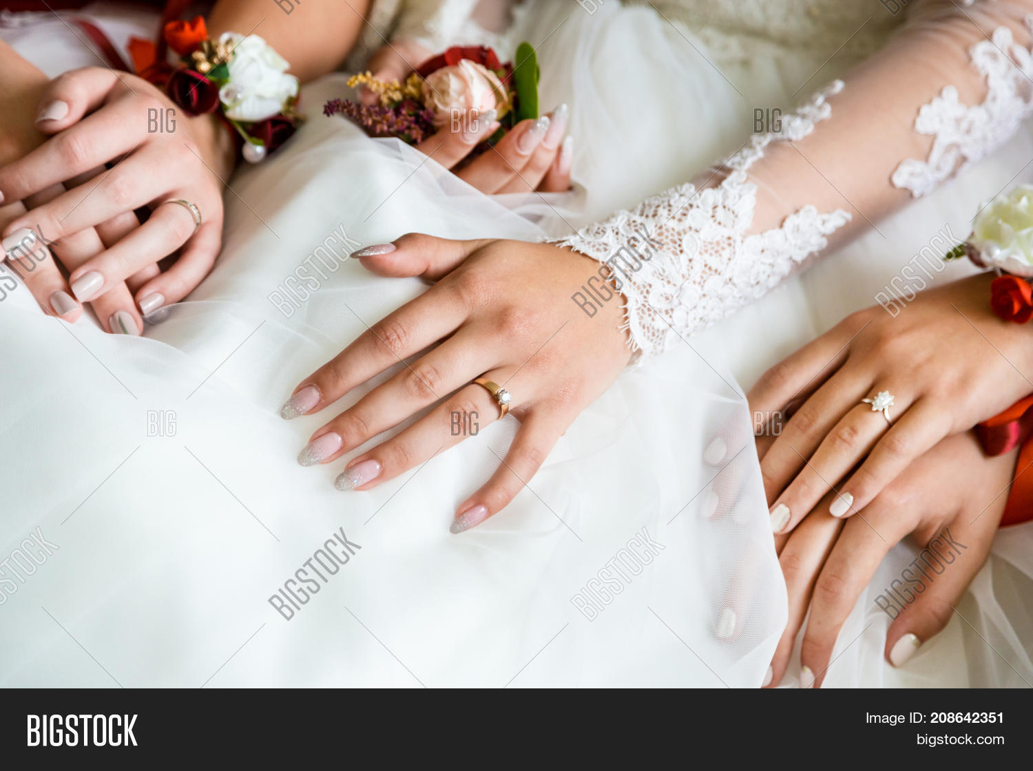 Closeup Hands Bride Image & Photo (Free Trial) | Bigstock