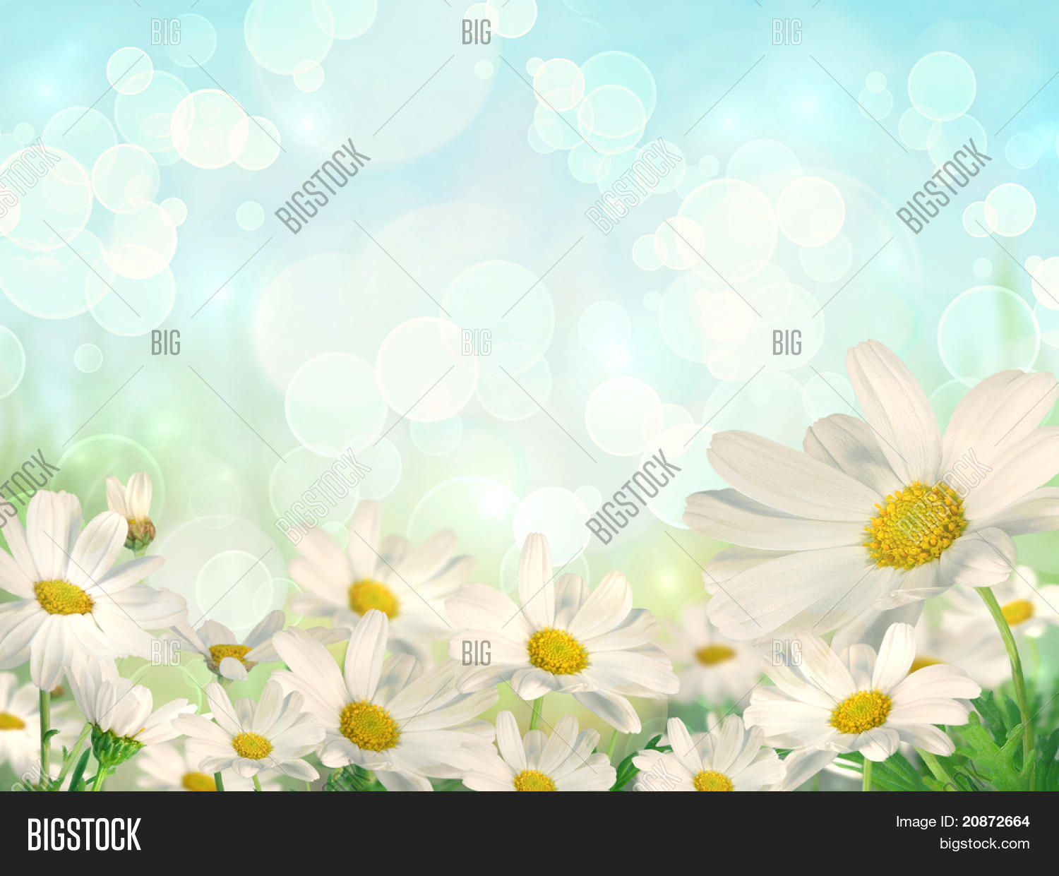Spring Background Image & Photo (Free Trial) | Bigstock