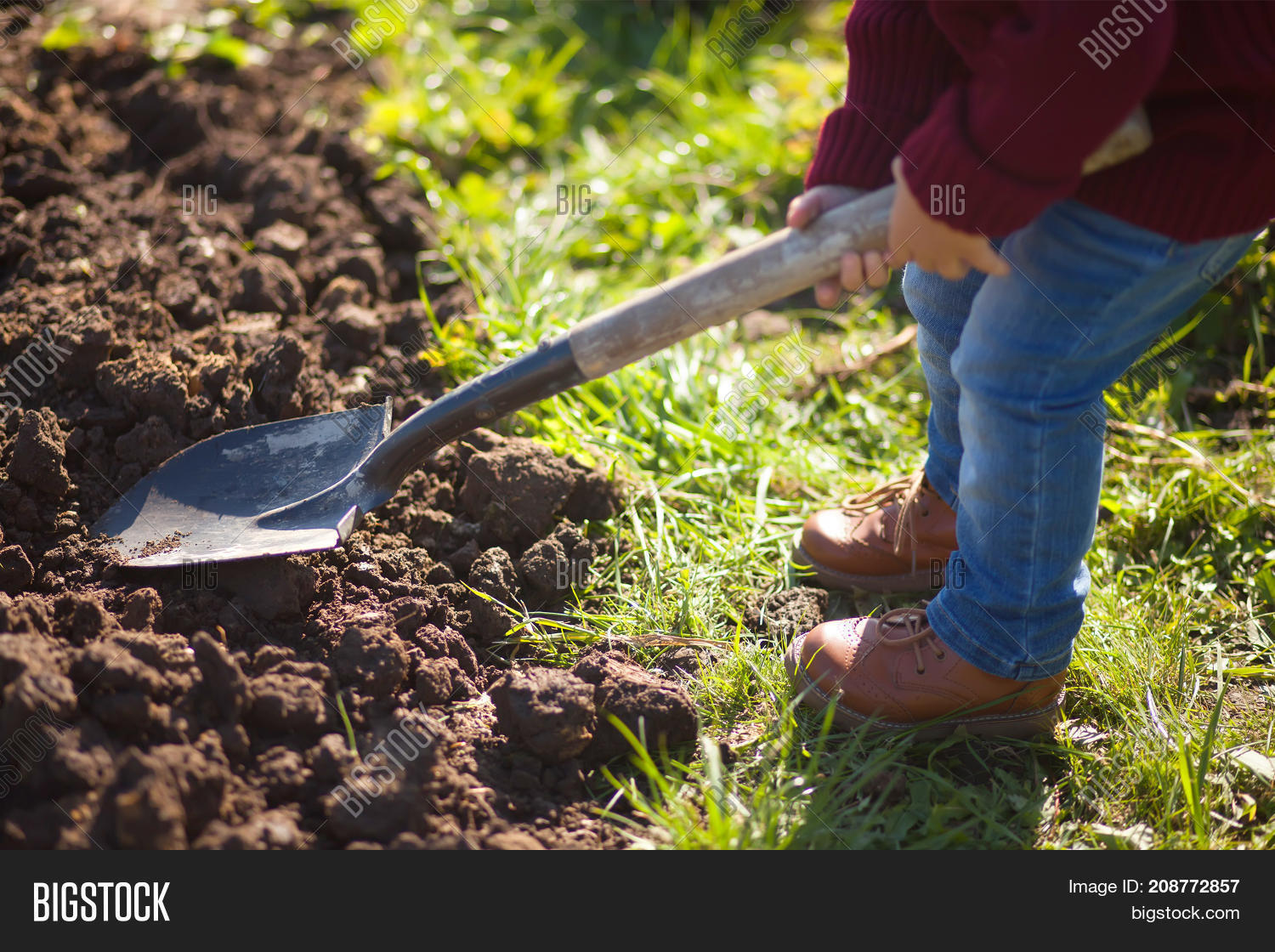 Little Kid Working Image & Photo (Free Trial) | Bigstock
