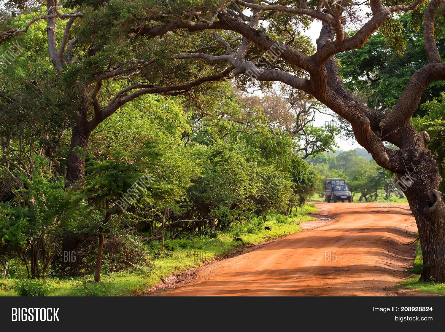 Scenic View Tropical Image & Photo (Free Trial) | Bigstock