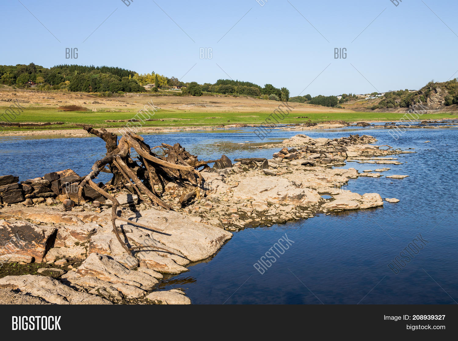 Dry Log On Bottom Image & Photo (Free Trial) | Bigstock