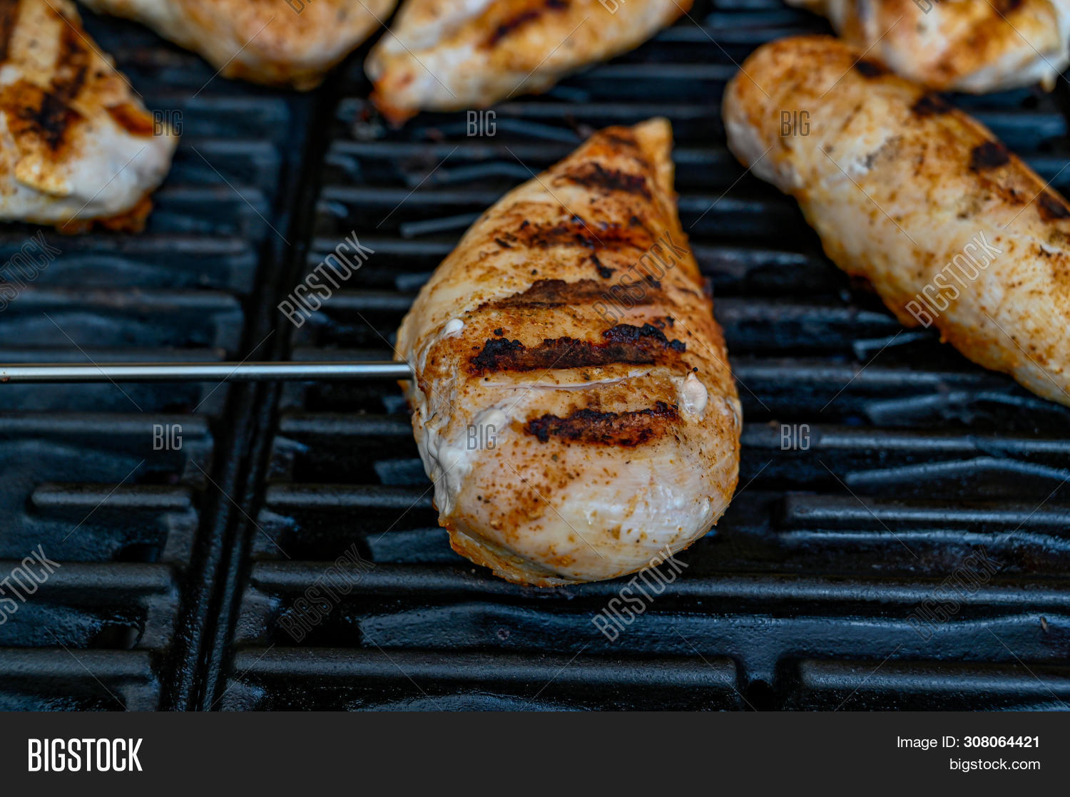 Grilled Striped Image & Photo (Free Trial) | Bigstock
