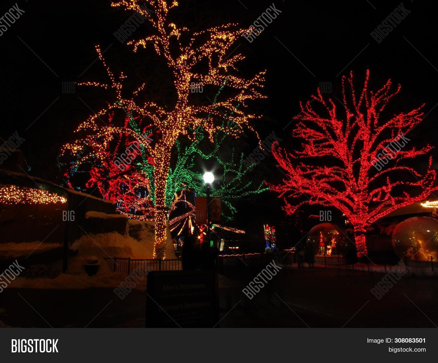 Trees Lit Christmas Image & Photo (Free Trial) | Bigstock