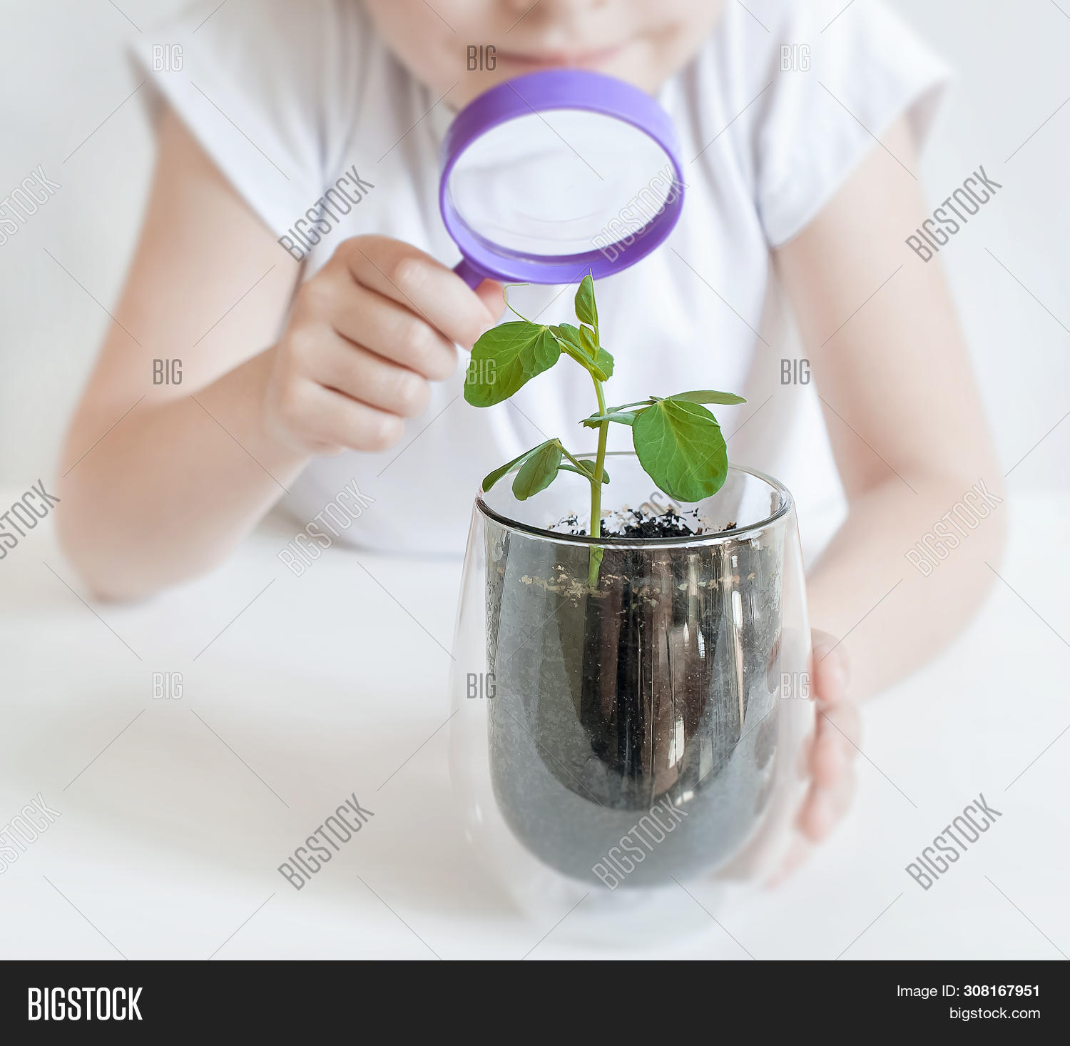 Young Girl Studies Image & Photo (Free Trial) | Bigstock