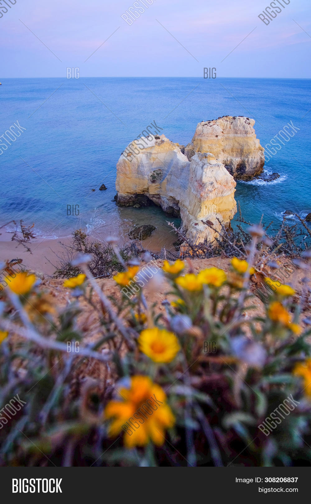 Landscape Yellow Image & Photo (Free Trial) | Bigstock