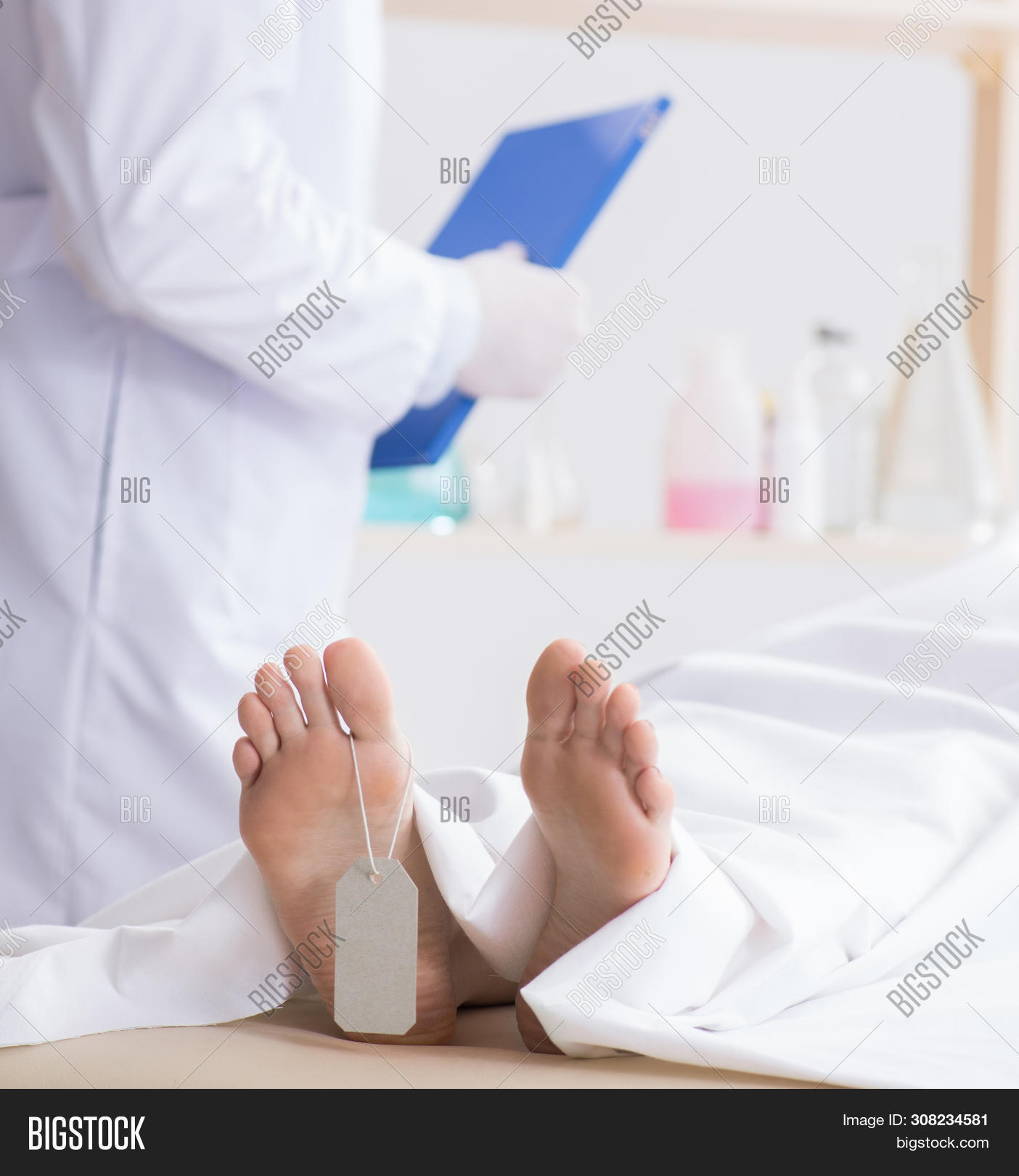 Police Coroner Image & Photo (Free Trial) | Bigstock