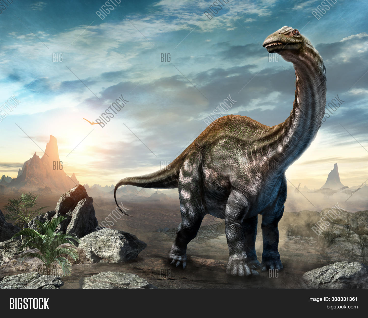 Apatosaurus Dinosaur Image & Photo (Free Trial) | Bigstock