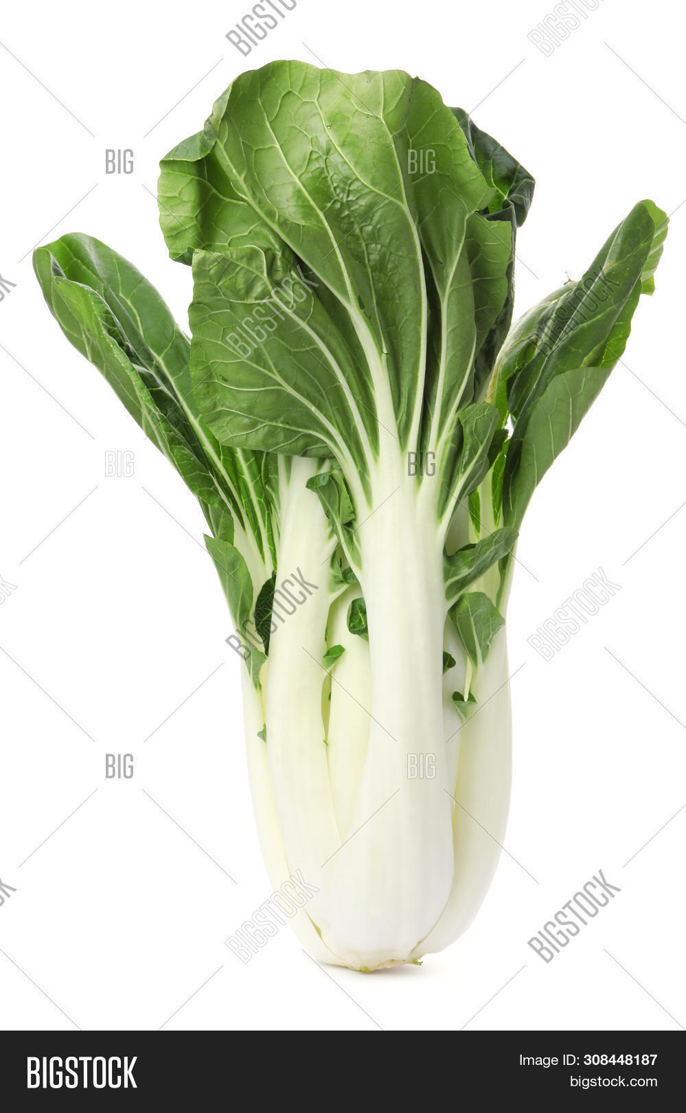 Fresh Green Bok Choy Image & Photo (Free Trial) | Bigstock