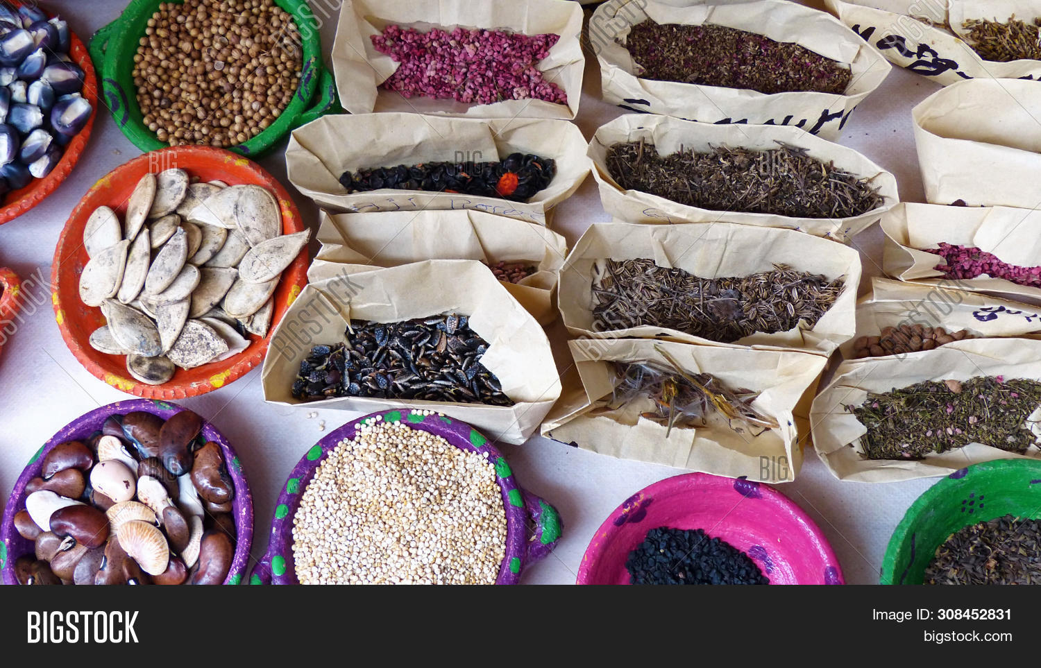 Collection Set Seeds Image & Photo (Free Trial) | Bigstock