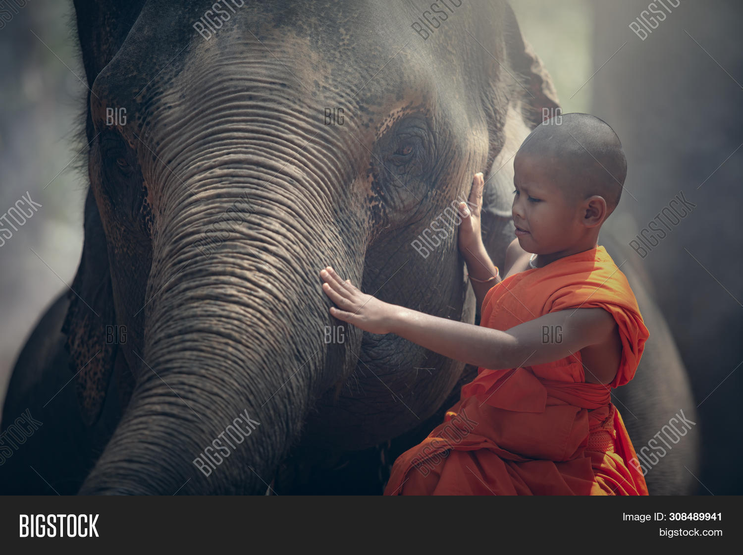 Thailand Buddhist Image & Photo (Free Trial) | Bigstock