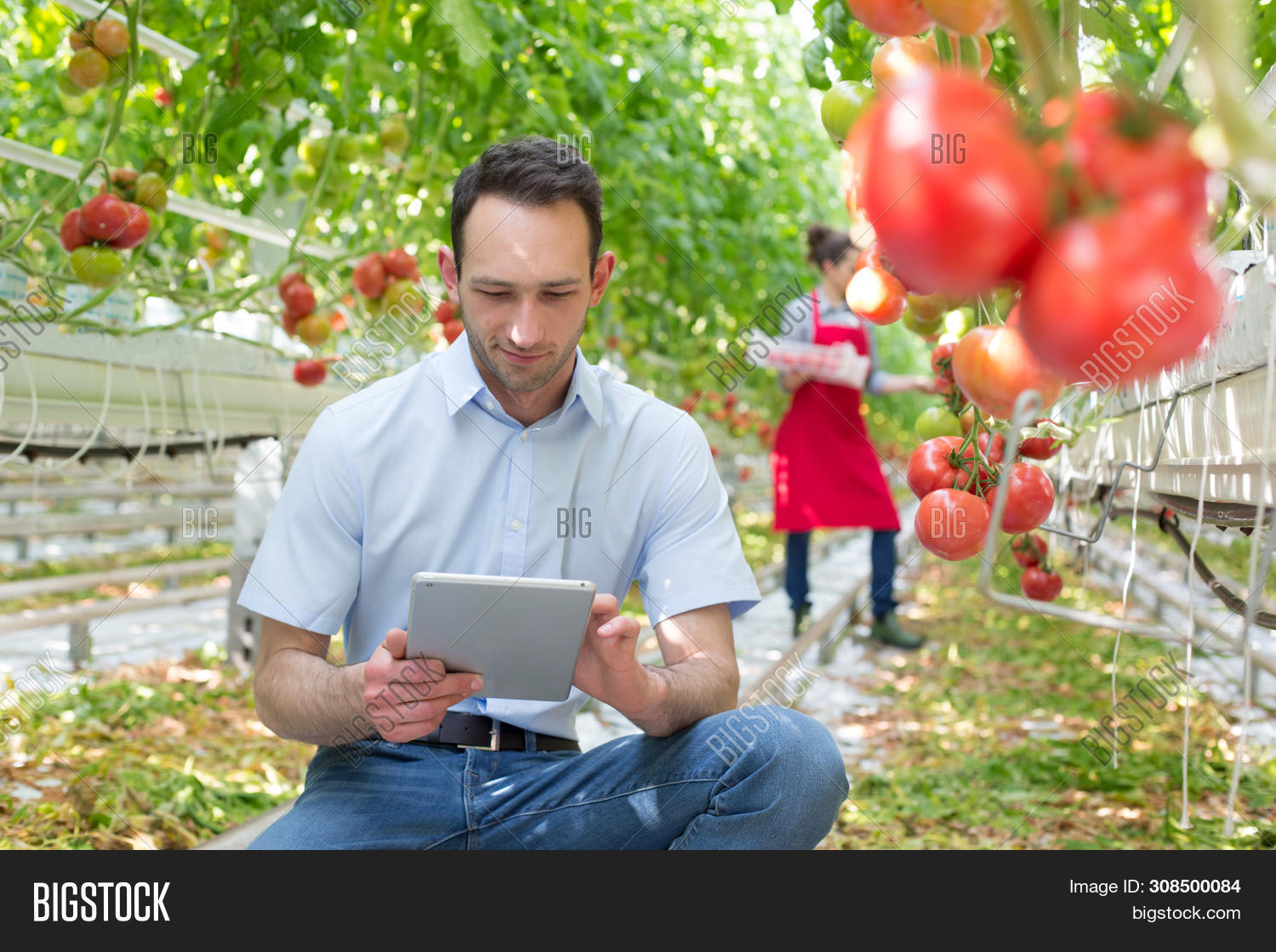 Supervisor Farmer Image & Photo (Free Trial) | Bigstock