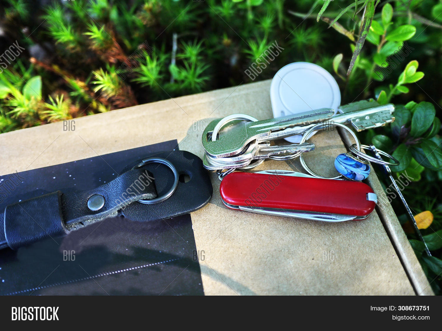 Keychain Strap. Image & Photo (Free Trial) | Bigstock