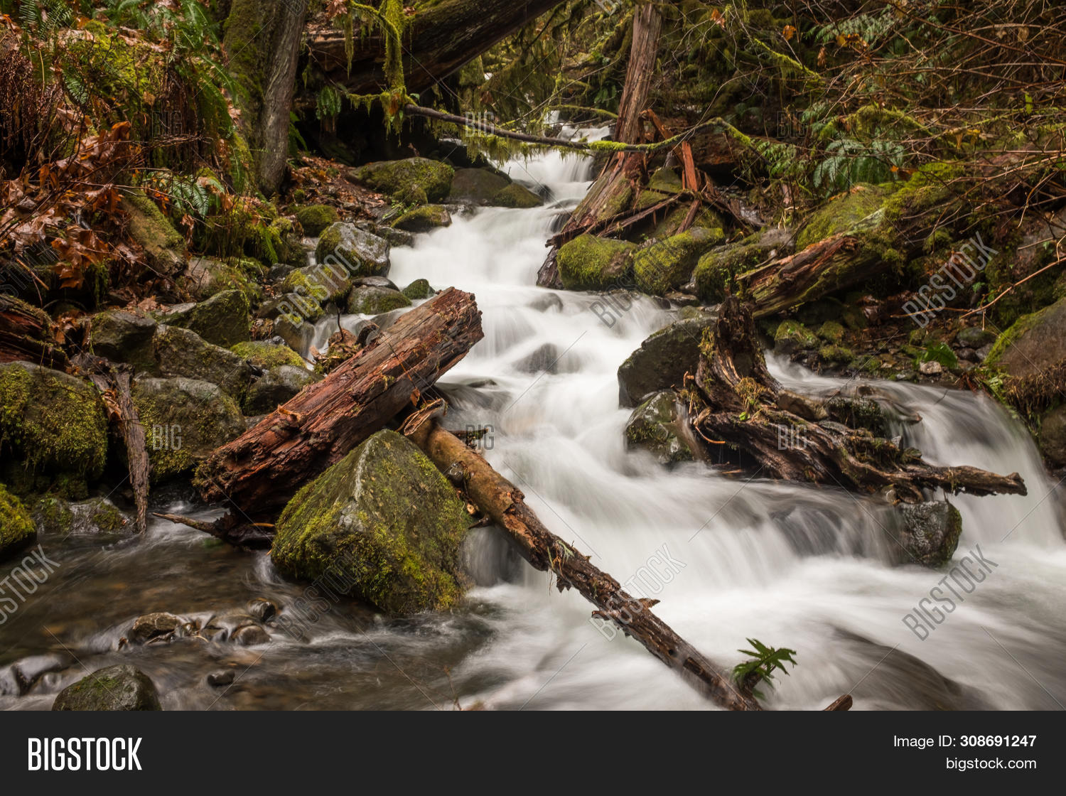 Flooded Stream Fast Image & Photo (Free Trial) | Bigstock