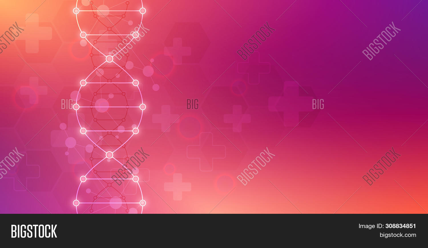 Dna Strand Molecular Image & Photo (Free Trial) | Bigstock