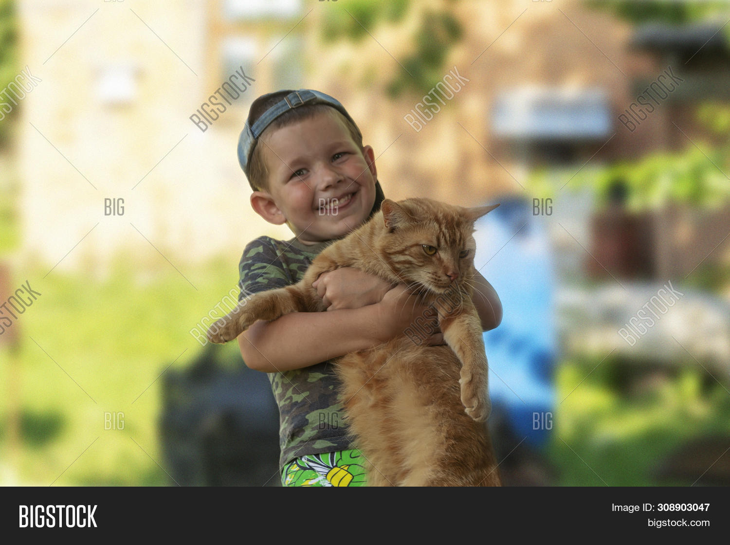Funny Boy Hugging Cat Image & Photo (Free Trial) | Bigstock