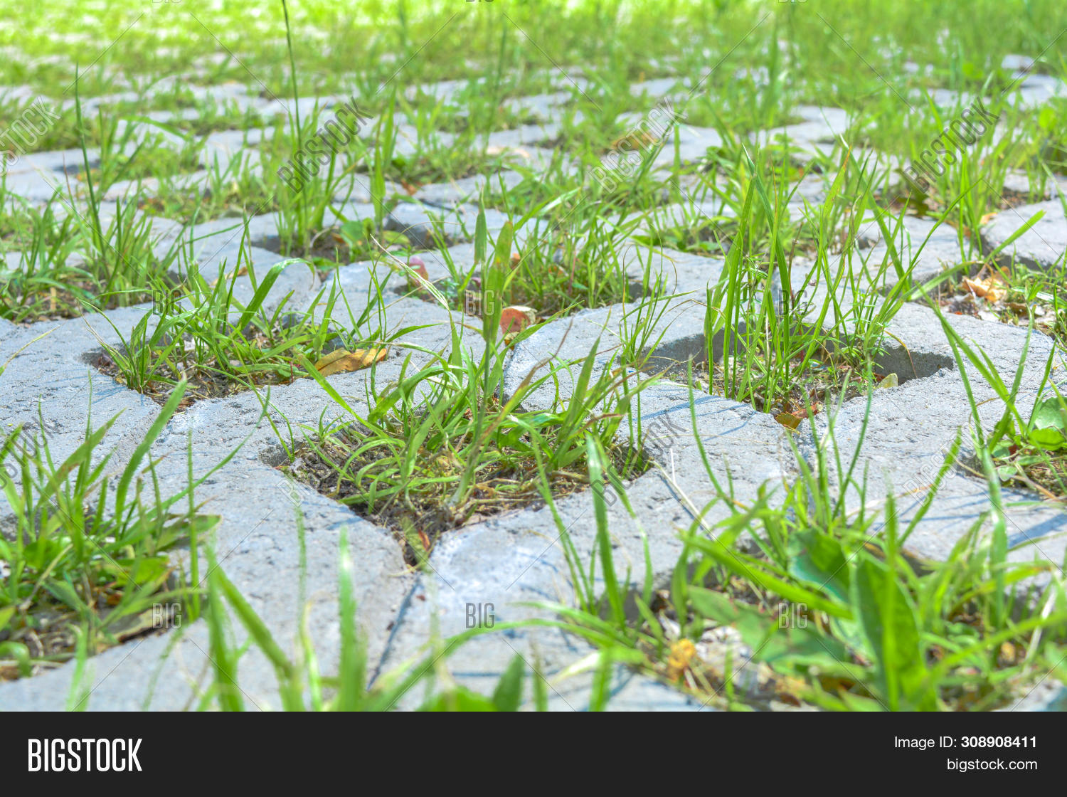 Macro View Geometric Image & Photo (Free Trial) | Bigstock