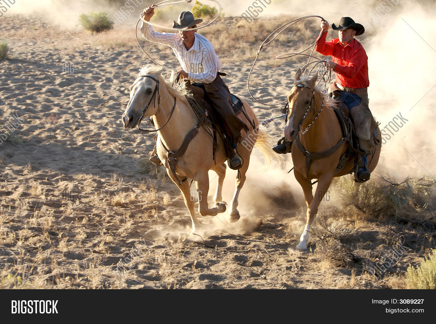 Wild Cowboys Image & Photo (Free Trial) | Bigstock