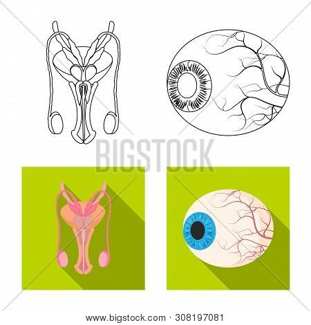 Bitmap Design Body Image & Photo (Free Trial) | Bigstock