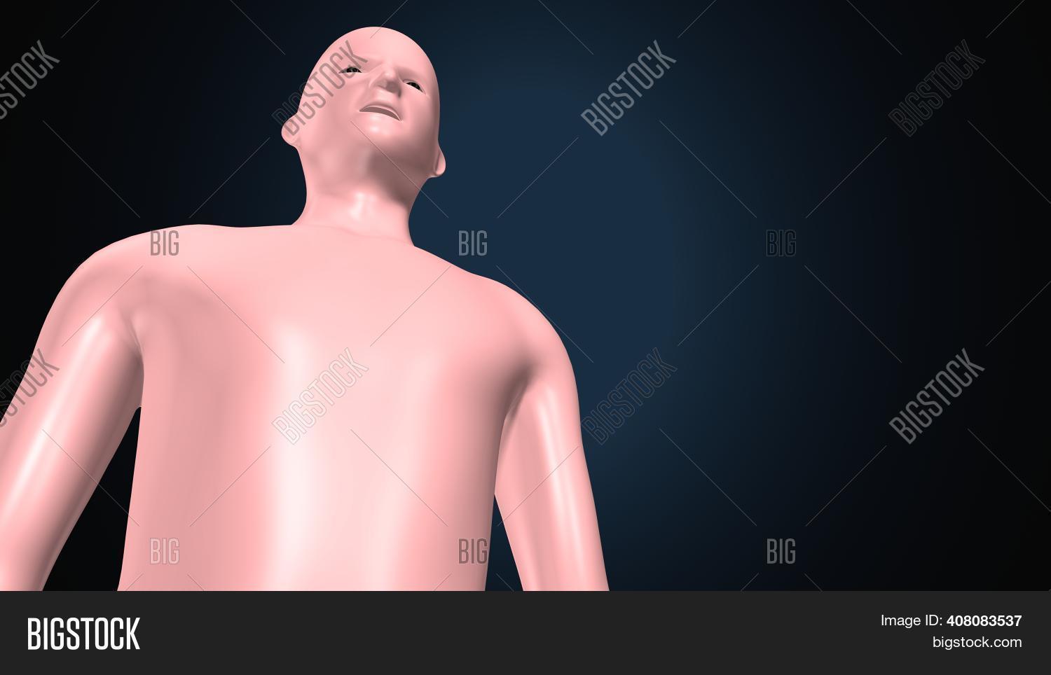 3d Render Male Human Image & Photo (Free Trial) | Bigstock