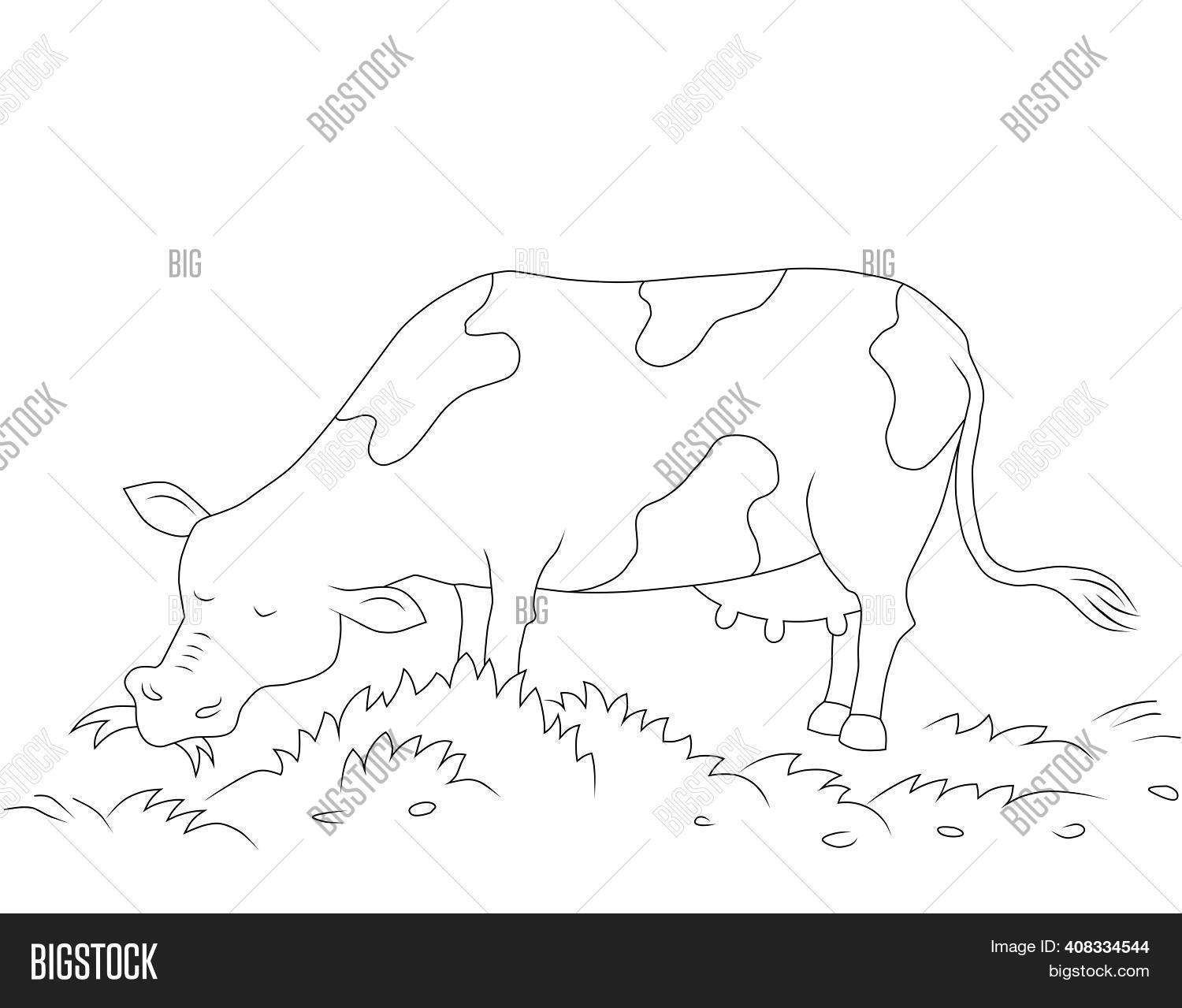Side View Outline Image & Photo (Free Trial) | Bigstock