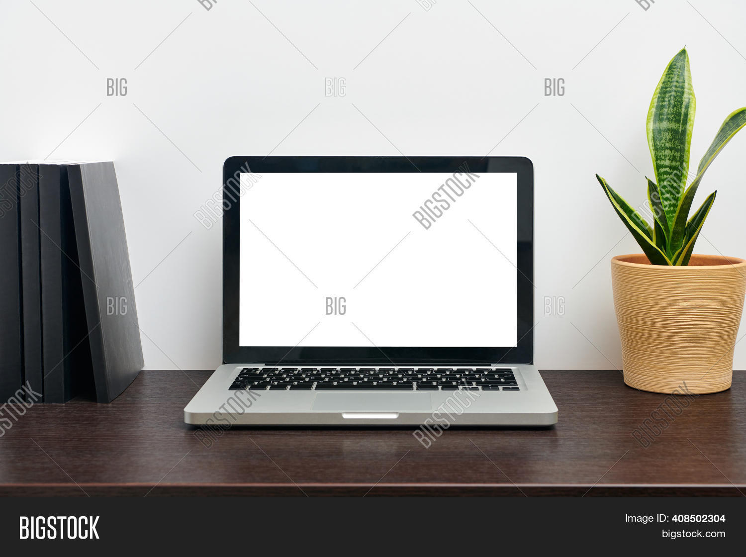 Laptop Computer Blank Image & Photo (Free Trial) | Bigstock