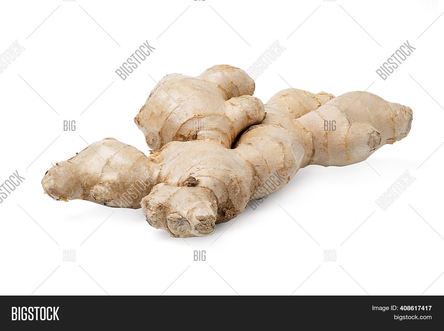 Isolated Shredded Image & Photo (Free Trial) | Bigstock