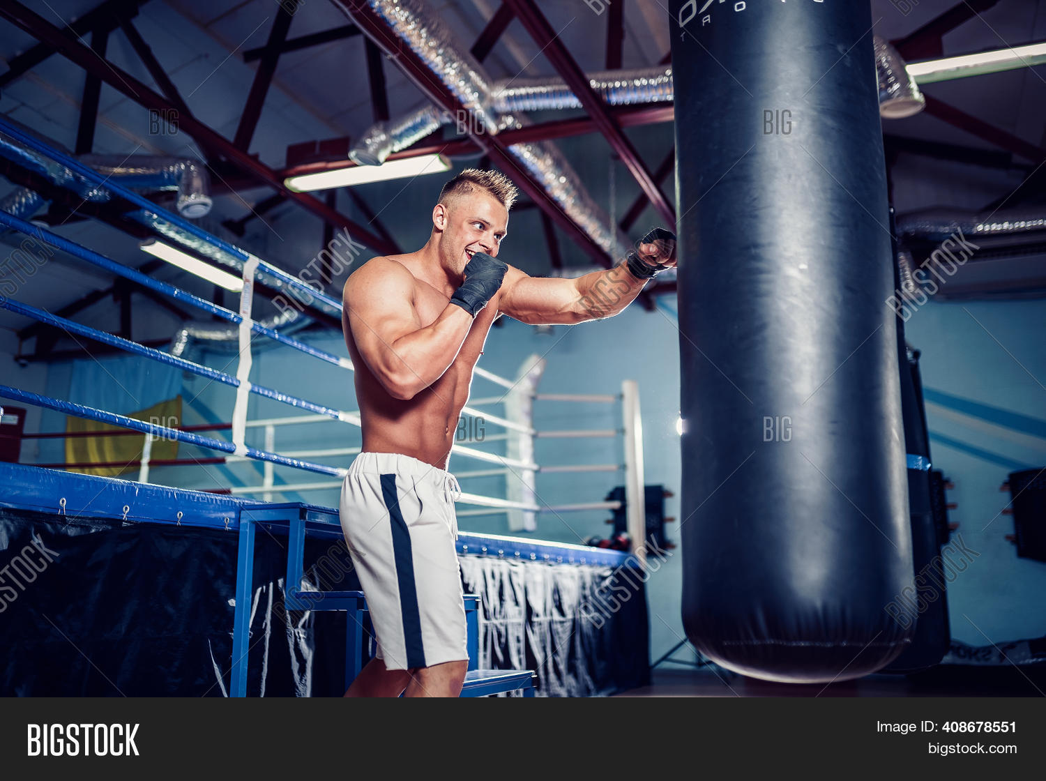 Male Boxer Training Image & Photo (Free Trial) | Bigstock