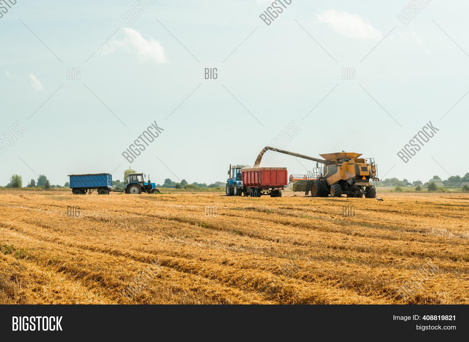 Unloading Grains Into Image & Photo (Free Trial) | Bigstock