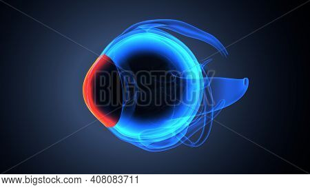 3d Render Male Human Image & Photo (Free Trial) | Bigstock