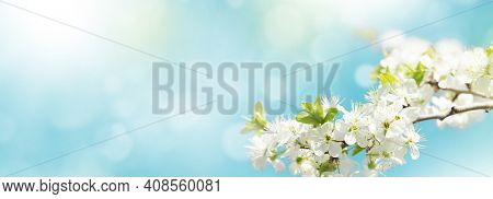 Sunny Backdrop Spring Image & Photo (Free Trial) | Bigstock