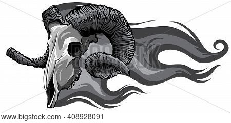 Monochromatic Skull Vector & Photo (Free Trial) | Bigstock