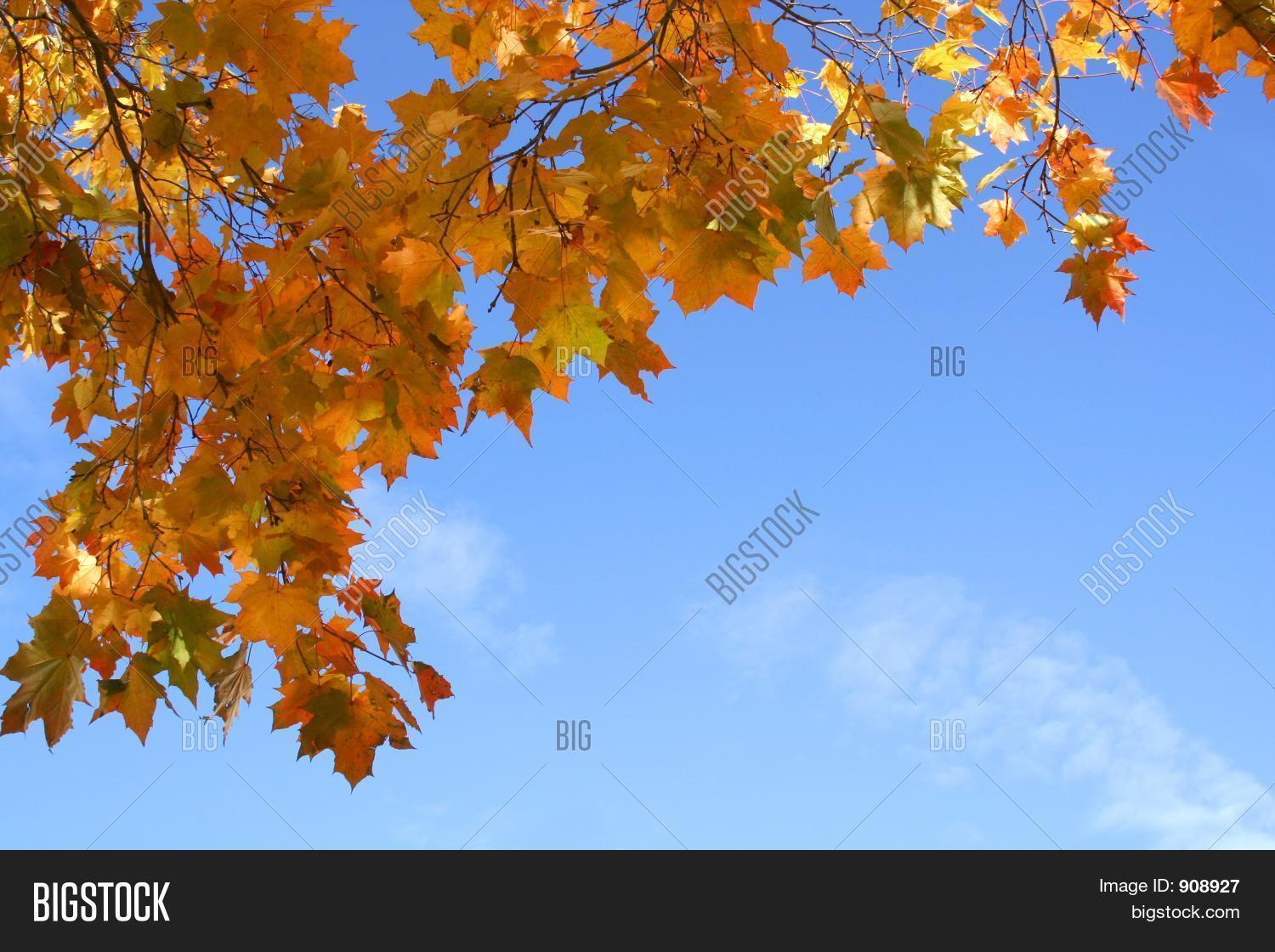 Autumn Sky Image & Photo (Free Trial) | Bigstock