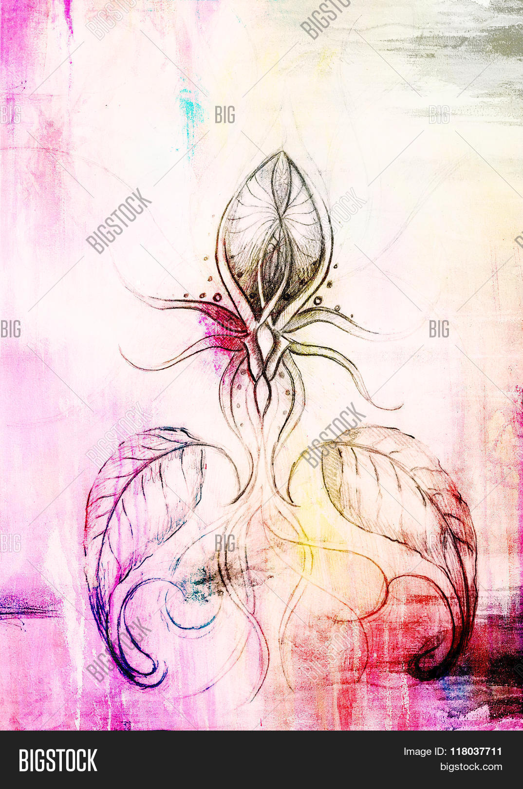 Pencil Drawing On Old Image & Photo (Free Trial) | Bigstock