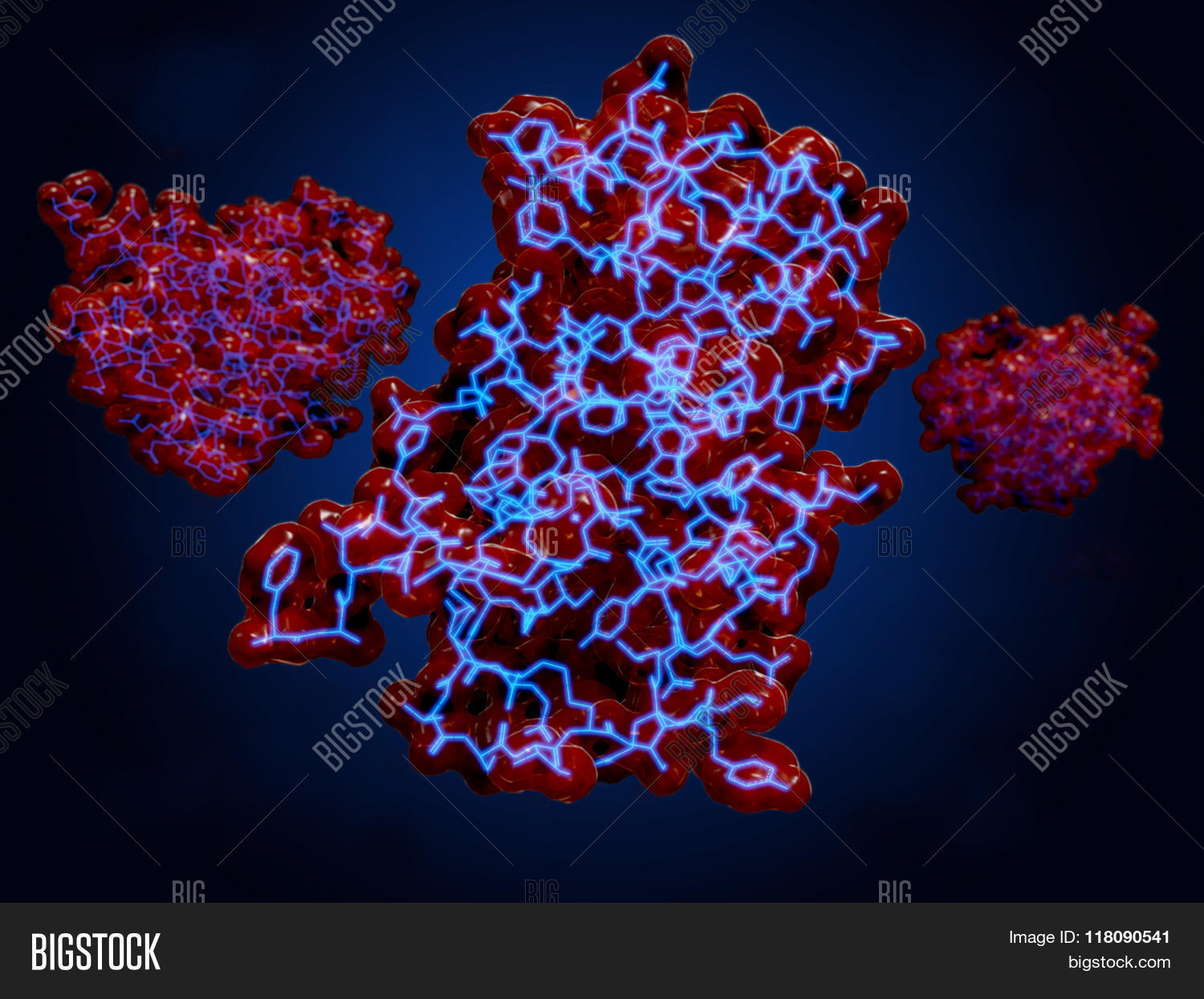 Insulin Molecules Image & Photo (Free Trial) | Bigstock