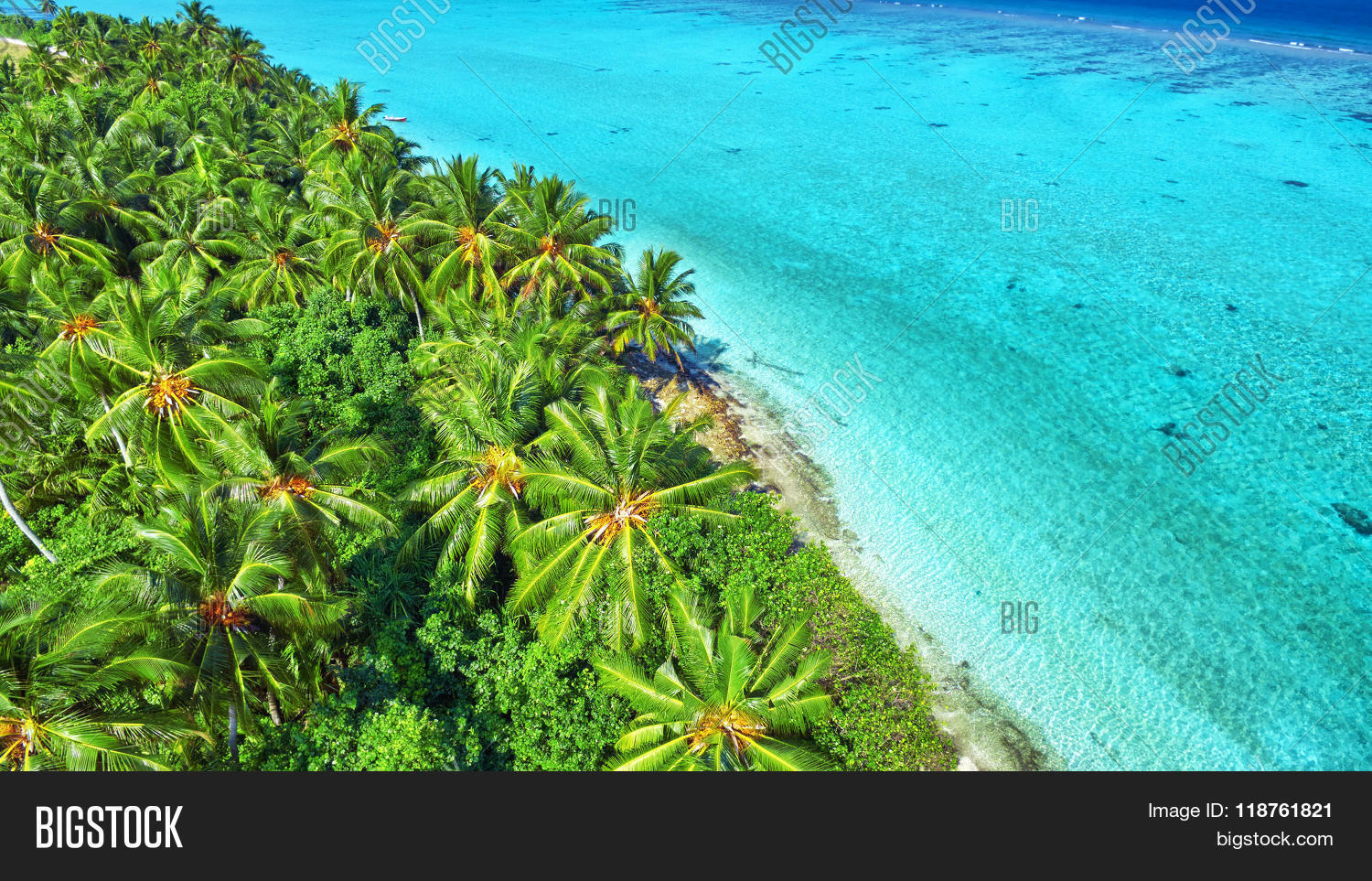 Shoreline Tropical Image & Photo (Free Trial) | Bigstock