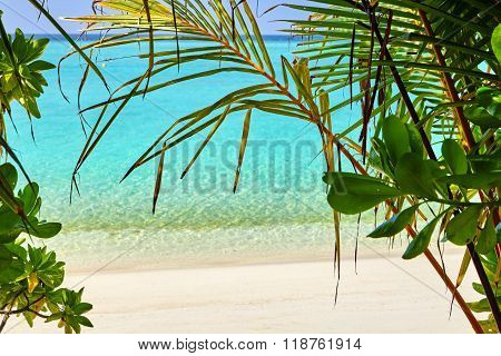 Shoreline Tropical Image & Photo (Free Trial) | Bigstock