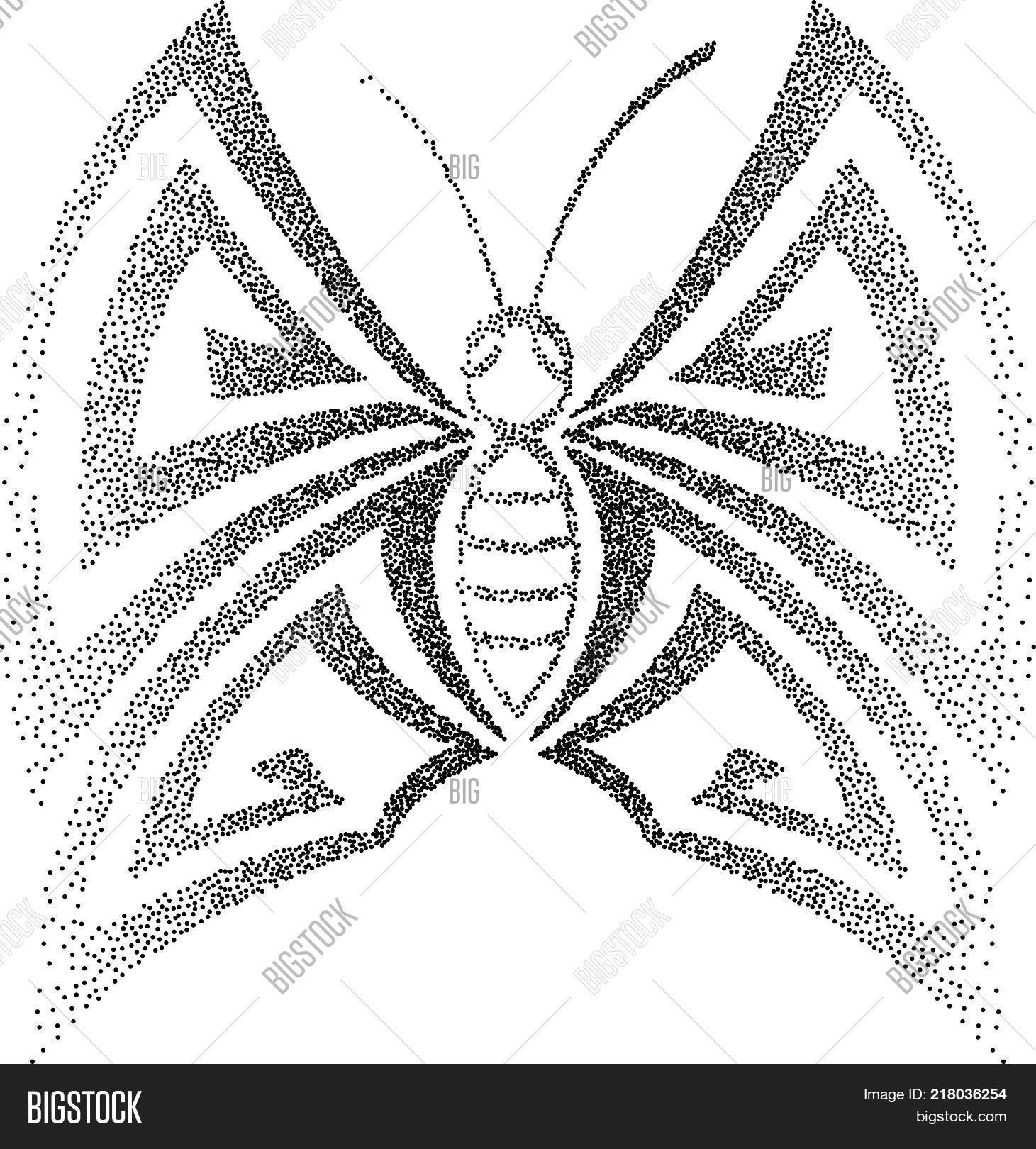 Butterfly Stipple Image & Photo (Free Trial) | Bigstock