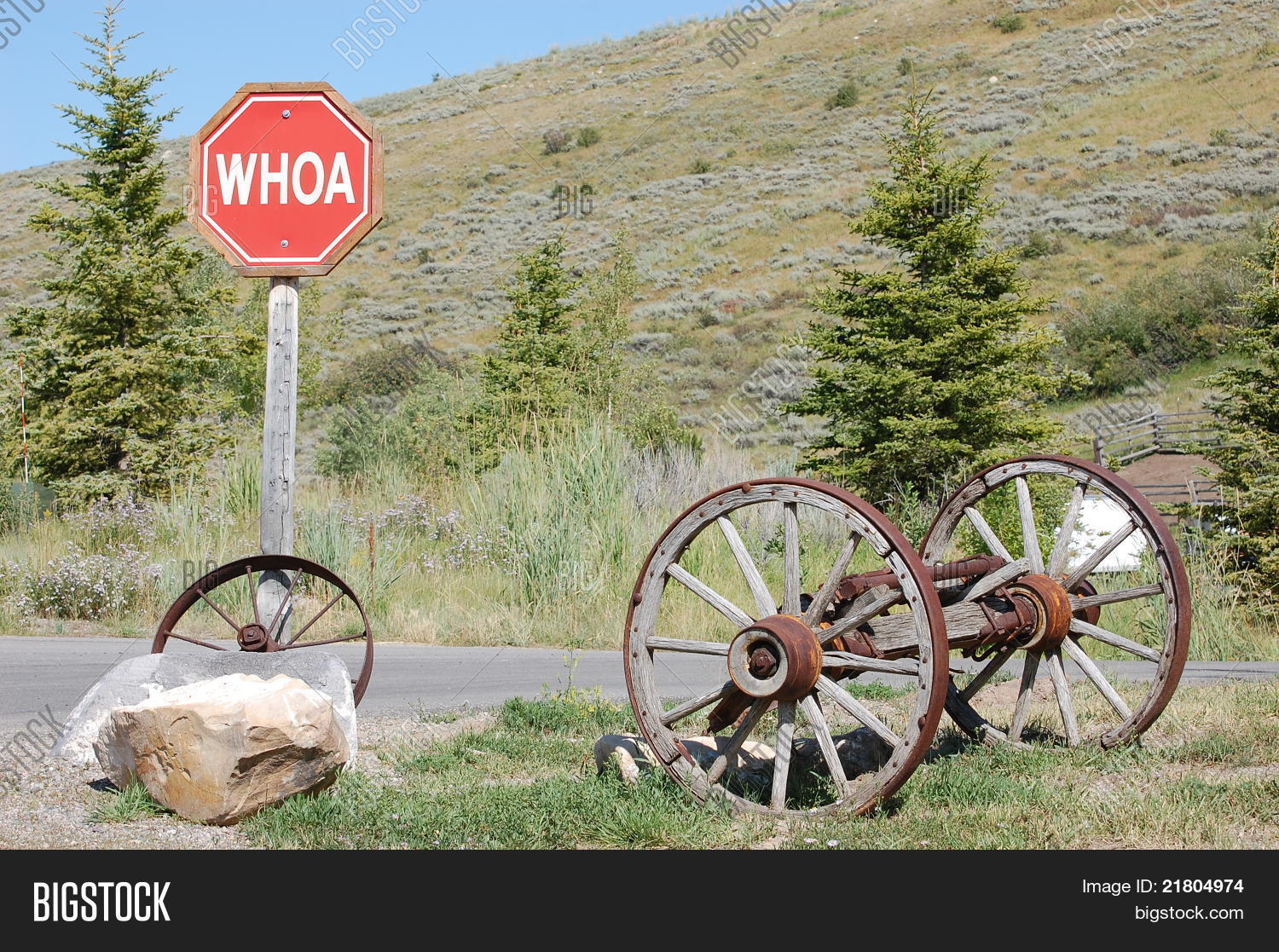 Humorous Jackson Hole Image & Photo (Free Trial) | Bigstock
