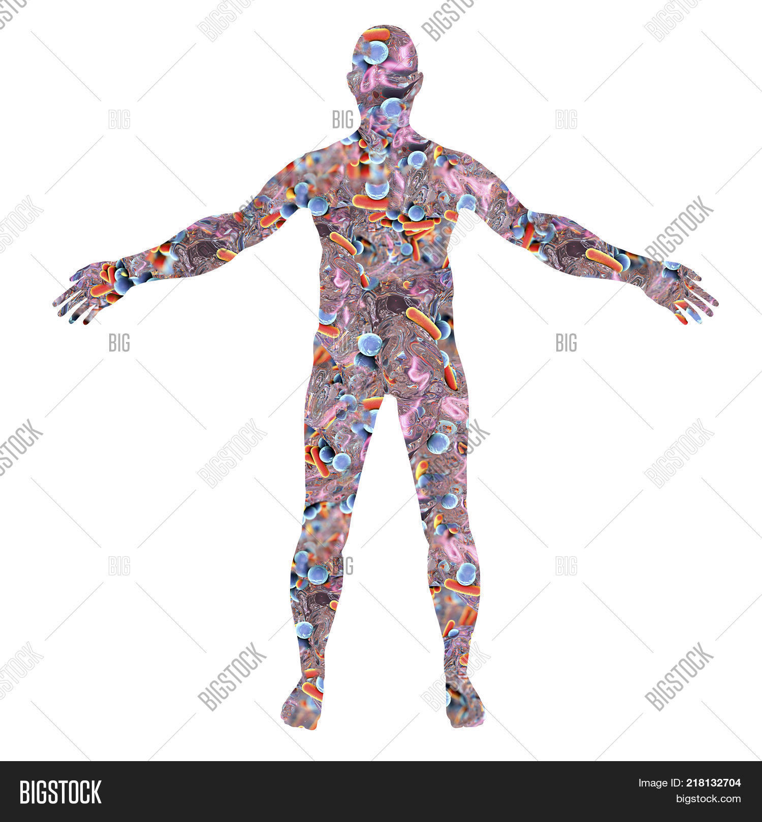 Human Body Silhouette Image & Photo (Free Trial) | Bigstock