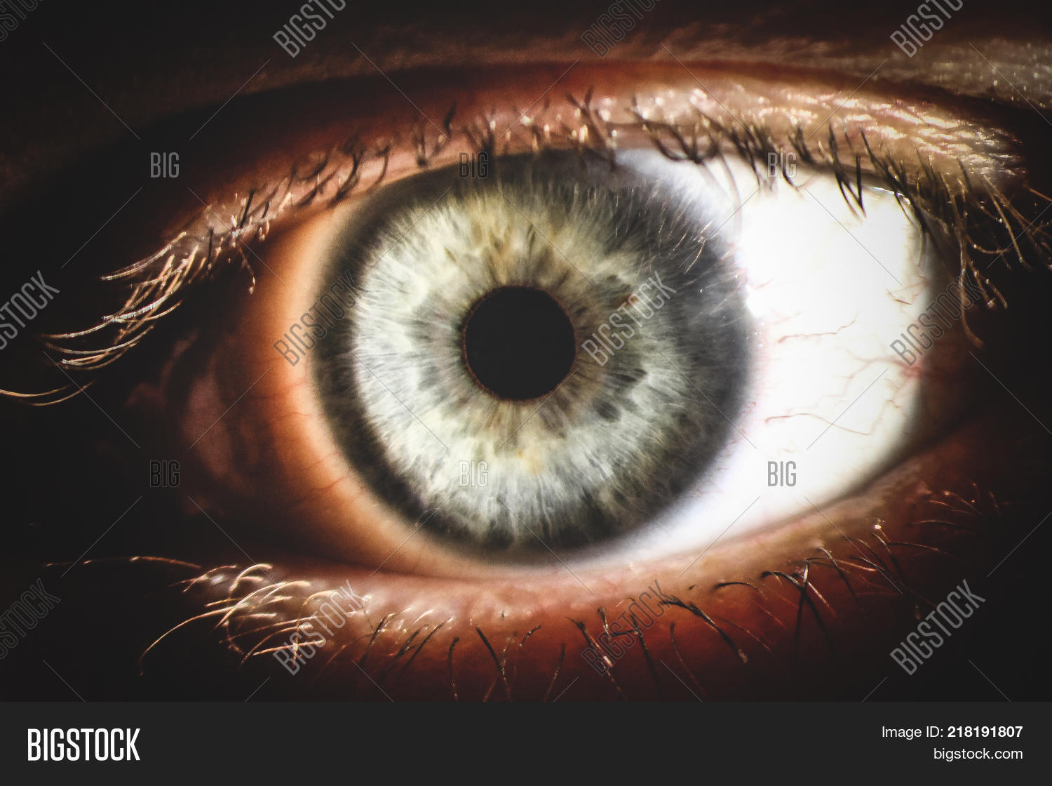 Enlarged Image Eye Image & Photo (Free Trial) | Bigstock