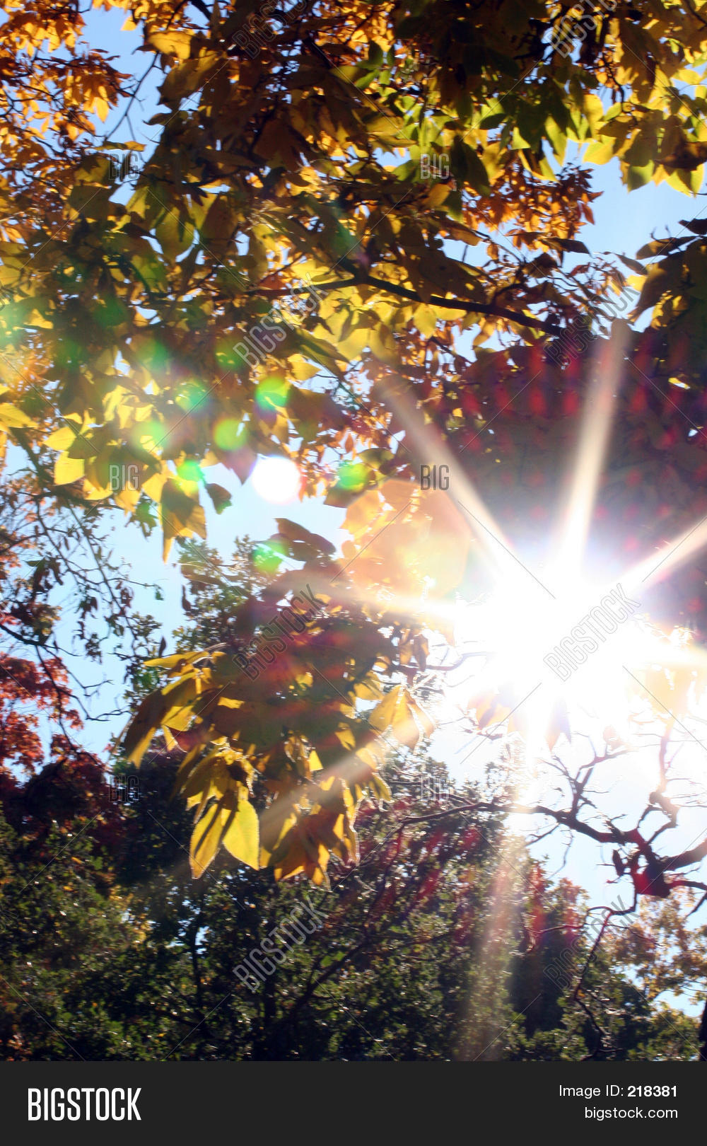 Autumn Sun Image & Photo (Free Trial) | Bigstock