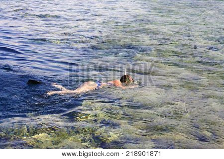 Woman Diving Into Water Images, Illustrations, Vectors - Woman Diving ...